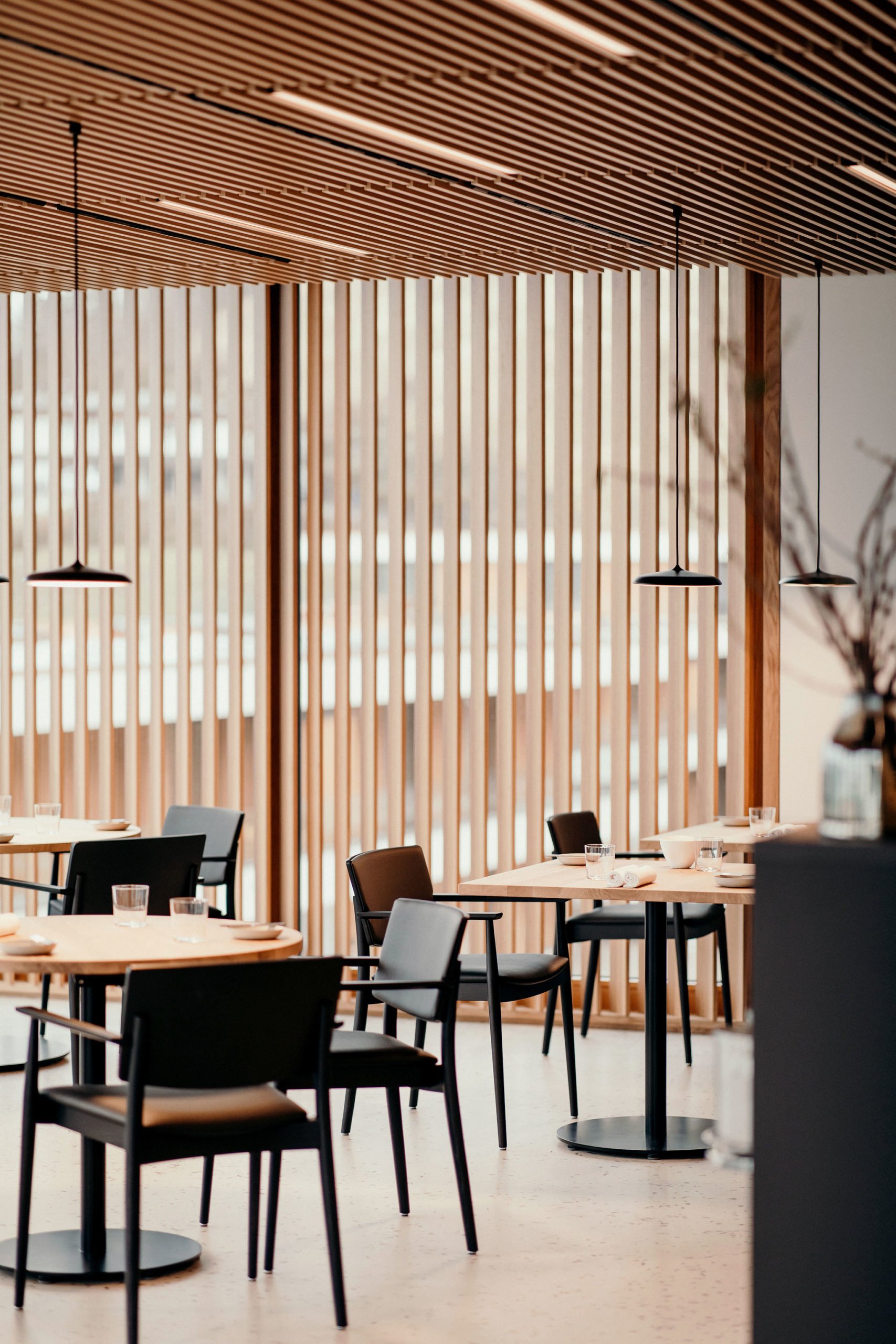 Magdalena | | The En Primeur Club